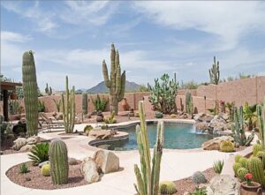 36 Cactus Garden Design Ideas : Landscaping with Cactus and Rocks